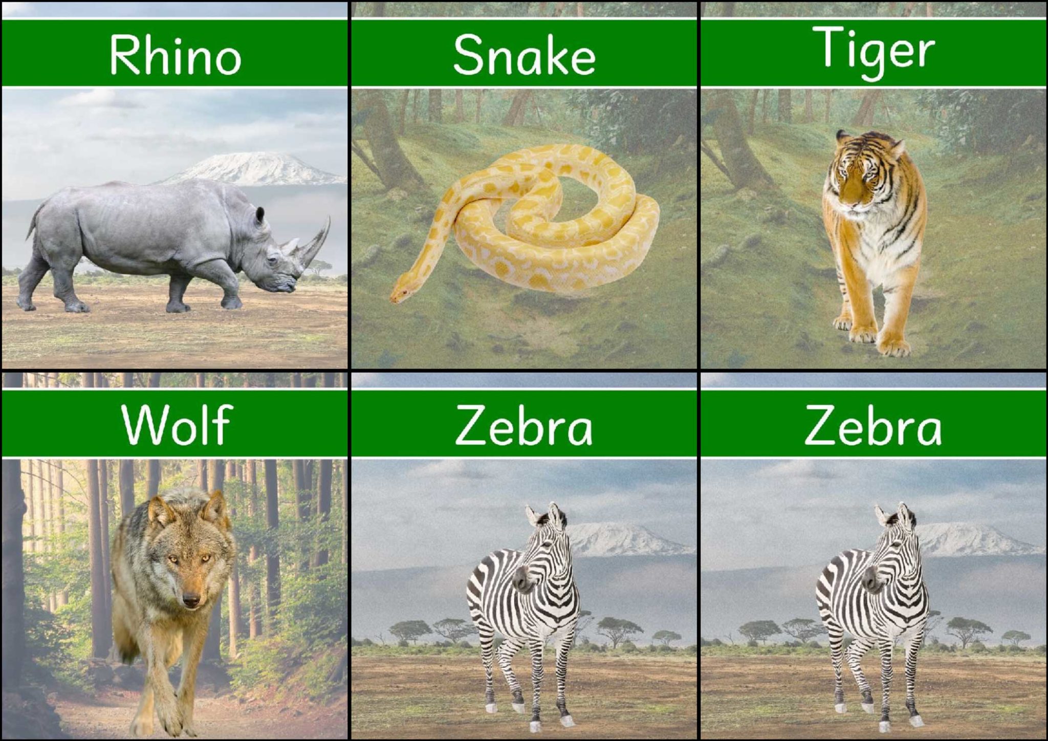 Animal Flashcards - A Fox In Japan